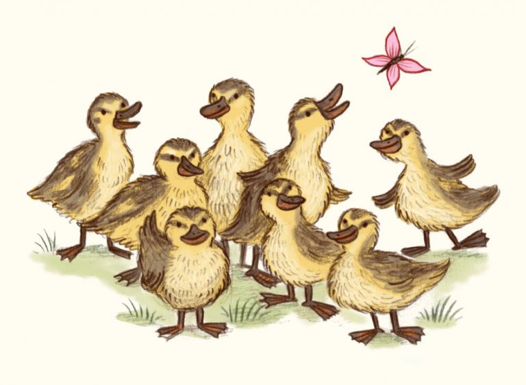 Freya Hartas Illustration | Freya Hartas is a children's book illustrator